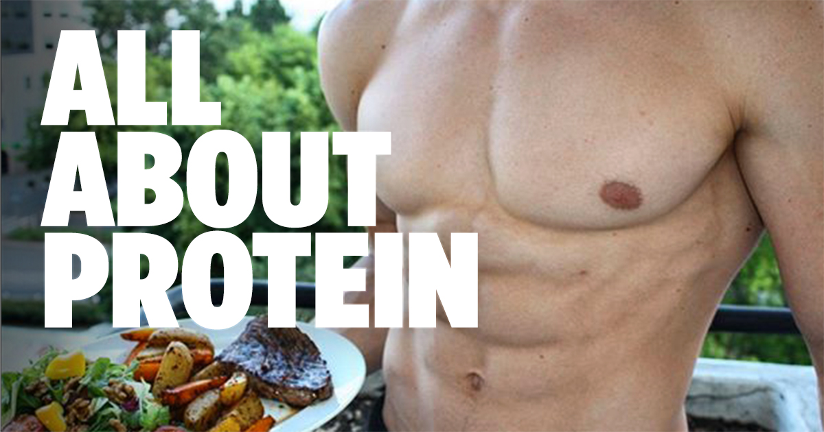 Proteins Role In Muscle Building