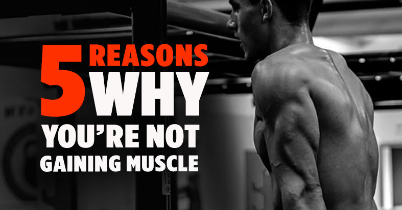 Why Are You Not Gaining Muscle? 5 Factors That Are Stopping You